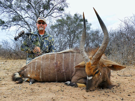South Africa Bow Hunting & Trophy Hunts | Bushmen Safaris