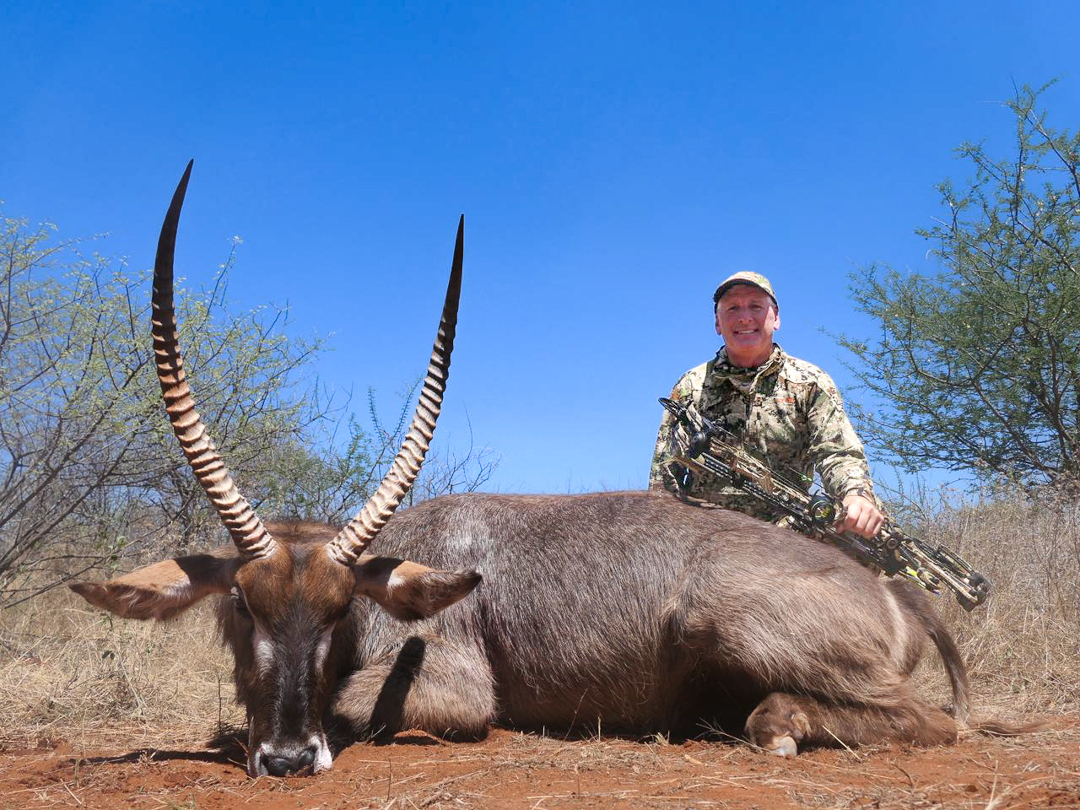 South Africa Bow Hunting & Trophy Hunts | Bushmen Safaris
