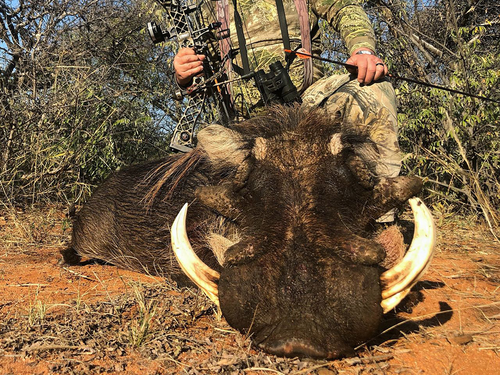 Gallery | Bushmen Safaris